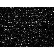 SpotLight 2 and Turbo Fluorescence Microarray Scanners by Arrayit