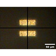 NanoPrint 2 Microarray Printers by ArrayIt