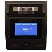 Doors and Windows | Terra Universal