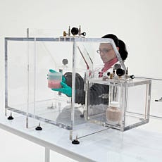 Negative Pressure & Vacuum Glove Boxes