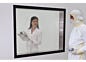 Cleanroom Windows