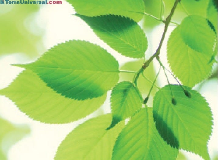 Spectrum Two FTIR Spectrometers by PerkinElmer | Terra Universal