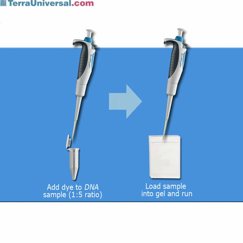 Gel Transilluminators