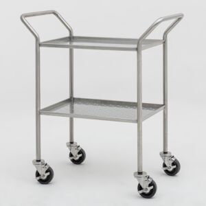 BioSafe UltraClean Stainless Steel Cleanroom Carts