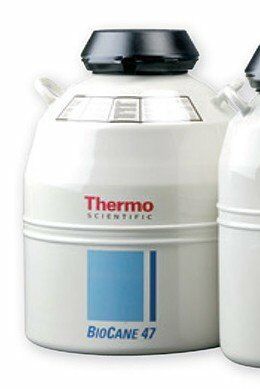 Cryogenic Storage; Bio-Cane47, 47 L, Thermo Fisher 4901-10