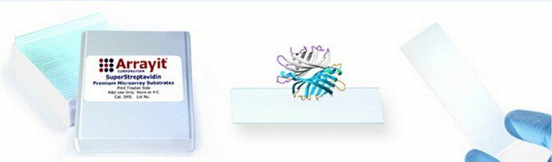 SuperStreptavidin Substrate Slides (Box of 25) 3031-73