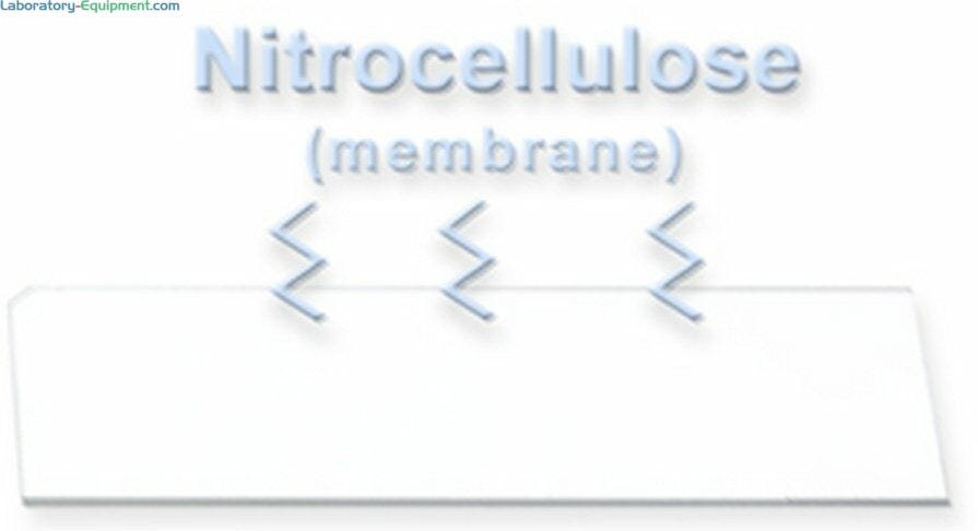SuperNitro Streptavidin Substrate Slides (Box of 25) 3031-76-S